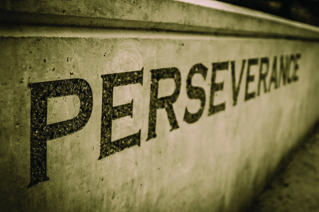 The Building Block of Perseverance (2 Peter 1:6) – Grace Evangelical ...