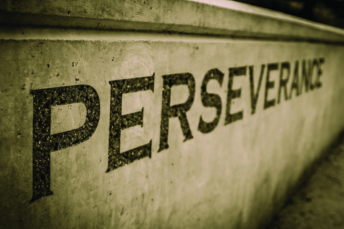 The Building Block of Perseverance (2 Peter 1:6) – Grace Evangelical ...