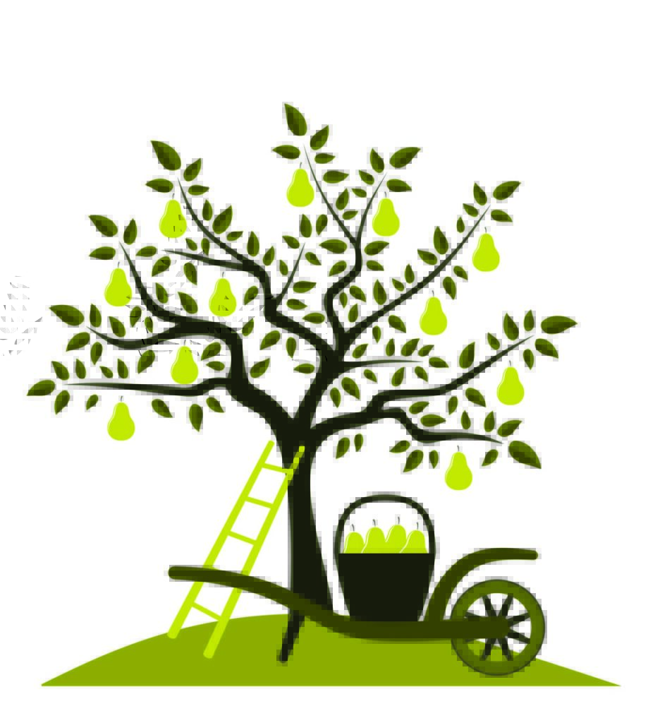 By Their Fruits You Shall Know Them (Matthew 7:15-20) – Grace ...