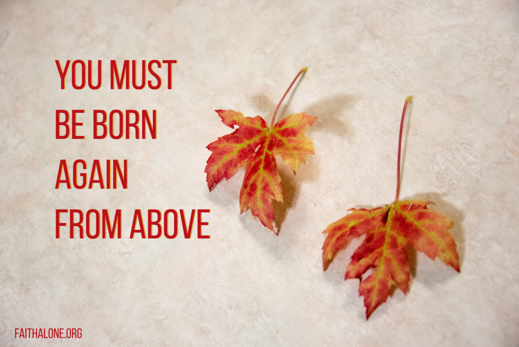 Born from Above – Grace Evangelical Society