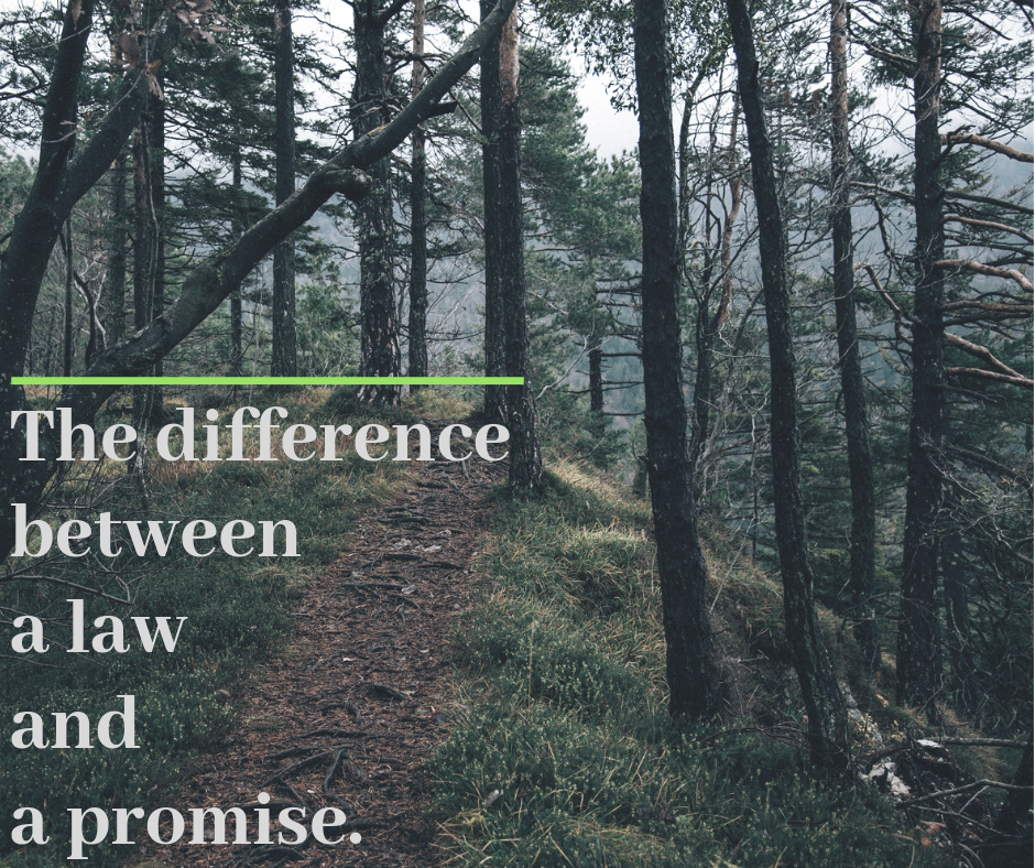 The Difference Between a Promise and a Law (Galatians 3:17-18) – Grace ...