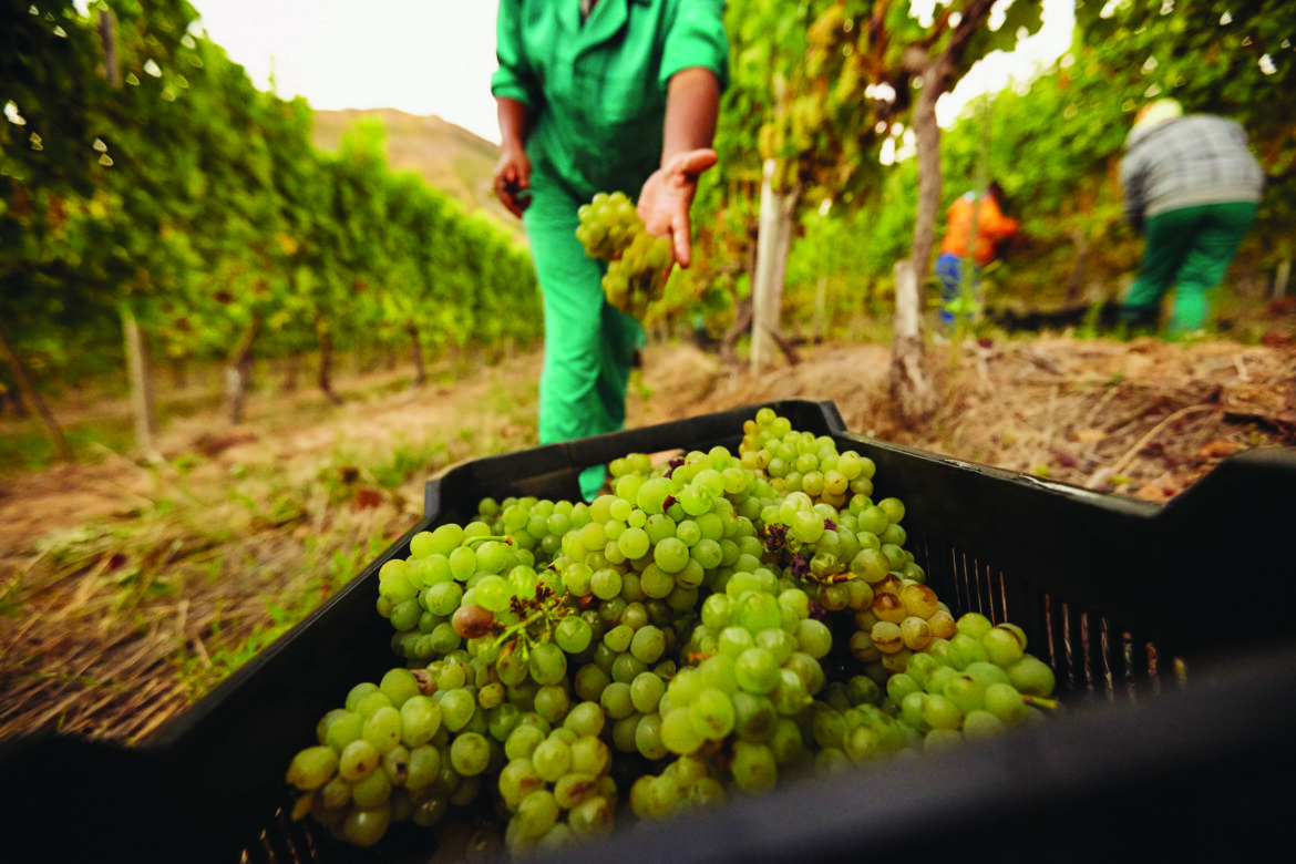 The Parable of the Laborers (Matthew 20:1-16) – Grace Evangelical Society