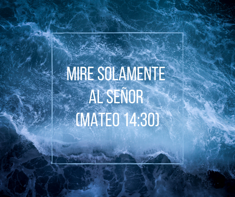 Mire Solamente al Señor (Mateo 14:30) – Grace Evangelical Society