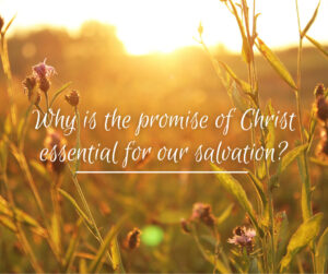 The Role of Christ in Our Salvation, Part 3: The Promise of Christ ...