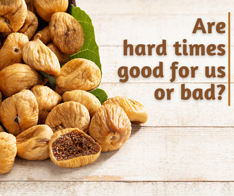 I Think I Will Try the Good Figs (Jeremiah 24:2) – Grace Evangelical ...