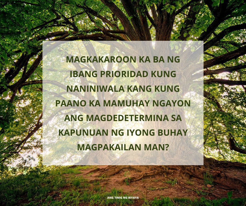 Magkakaroon Ba Ng Mayroon At Ng Wala Sa Kaharian Ni Jesus? – Grace ...